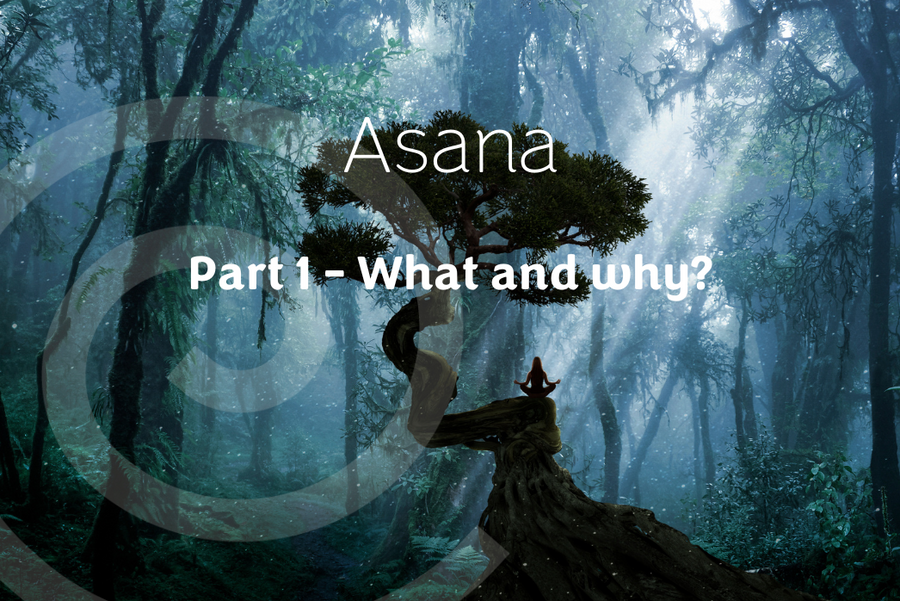 Asana: What and why? – Ekotex Yoga
